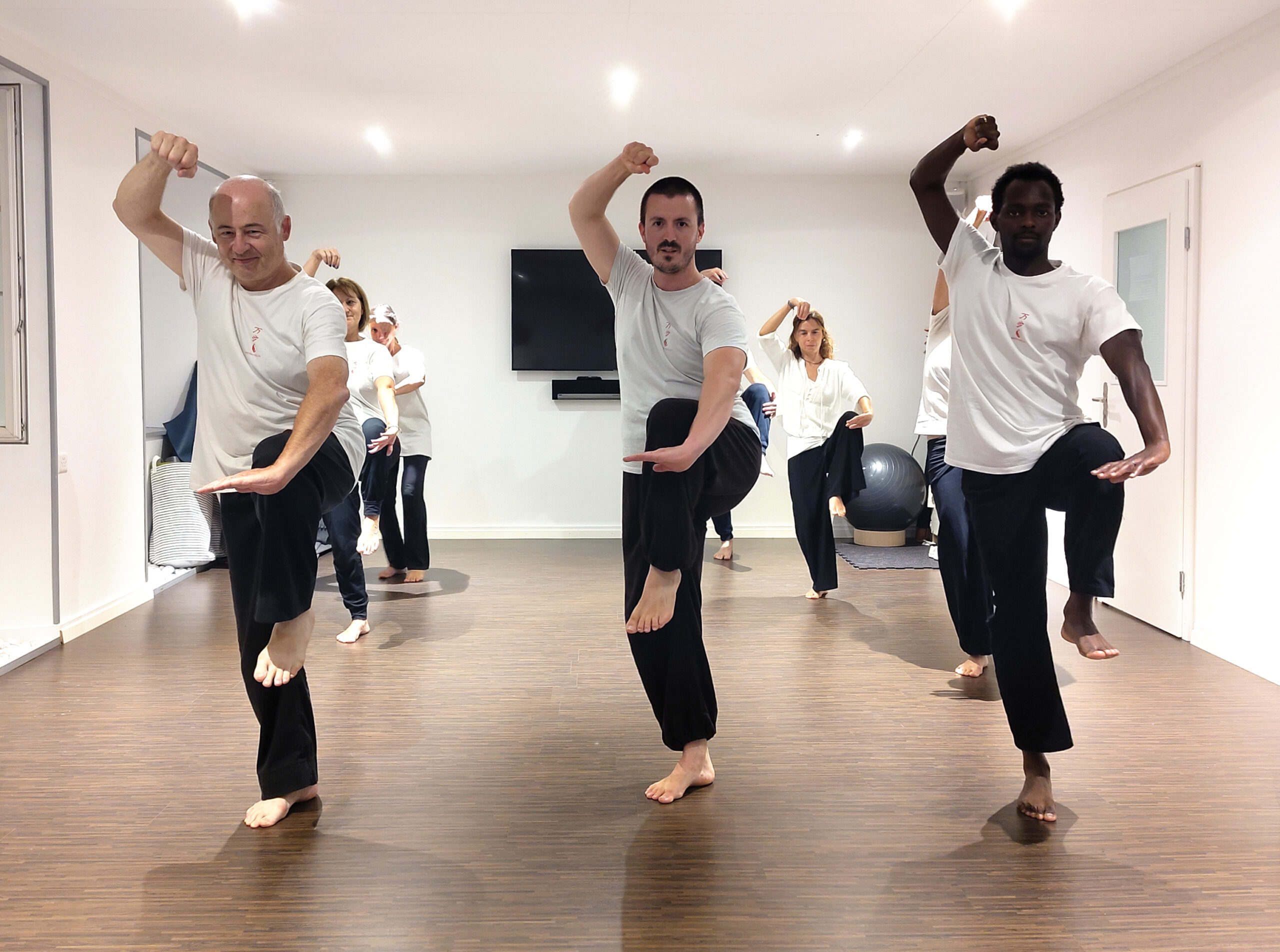 Cours de taiji à la Chaux-de-Fonds - Wanbu Taiji